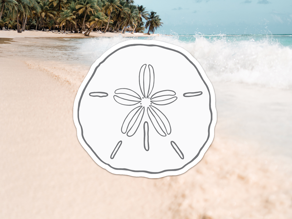 Sand Dollar Sticker – DesignwithMurial